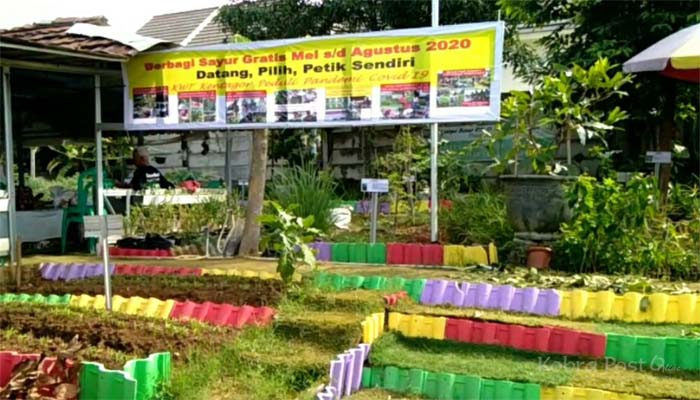 Kaya Akan Inovasi, KWT Kentagor Makin Dilirik